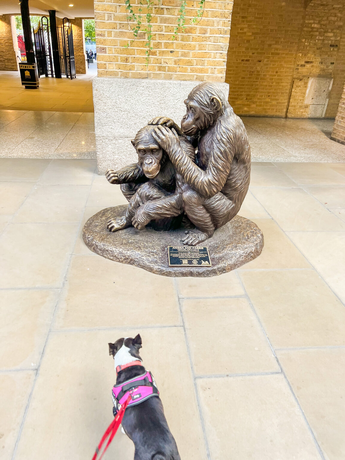 London Chimpanzee Sculpture Trail Walk - Like Love London