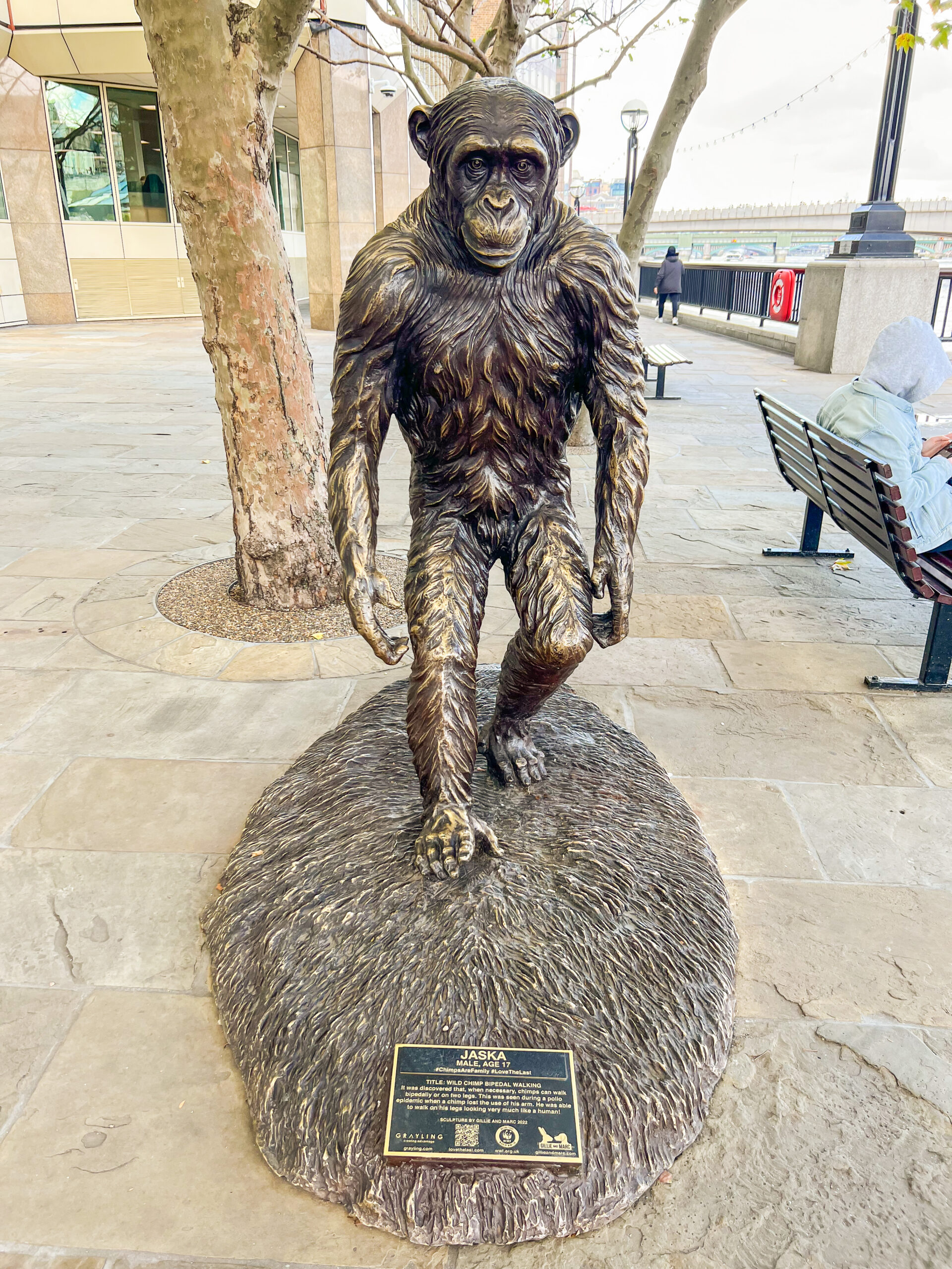 London Chimpanzee Sculpture Trail Walk - Like Love London